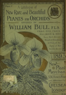 William Bull's Catalogue of New Rare and Beautiful Plants and Orchids ...
