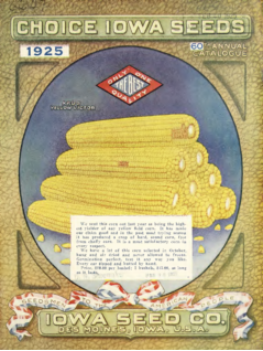 Choice Iowa Seeds 60th Annual Catalog (1925)