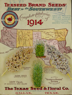 Texseed Brand Seeds Best For the Southwest Complete Catalogue of 1914