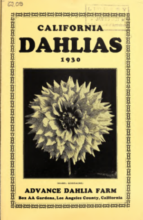 Advance Dahlia Farm California Dahlias 1930