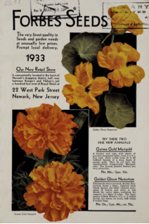 Alexander Forbes & Co Vegetable & Flower Seeds 1933