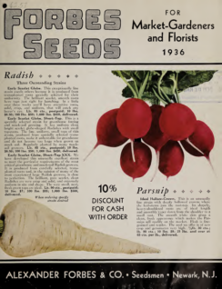 Alexander Forbes & Co Vegetable & Flower Seeds 1936