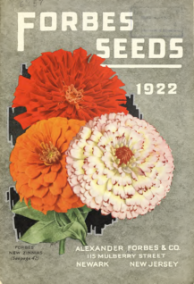 Alexander Forbes & Co Vegetable & Flower Seeds 1922